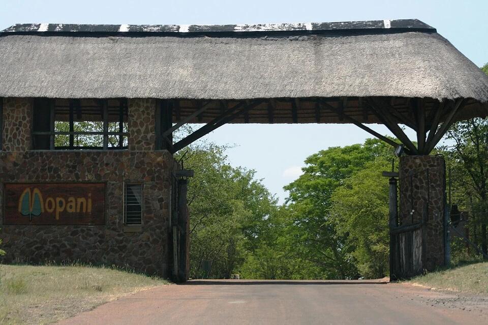 Kruger National Park – All you need to know - NewsBreak