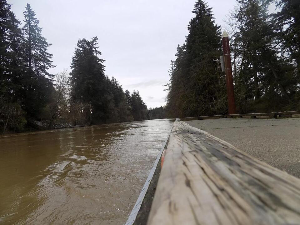 Body found Sunday in Tualatin River near Brown’s Ferry Park - NewsBreak