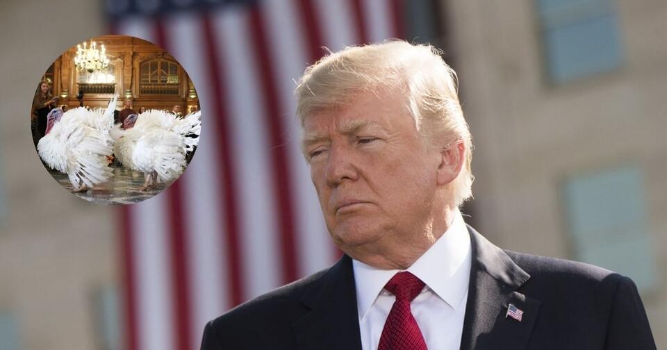 Trump Pardoned Two Turkeys, but One Was MIA — Now Netizens Are ...