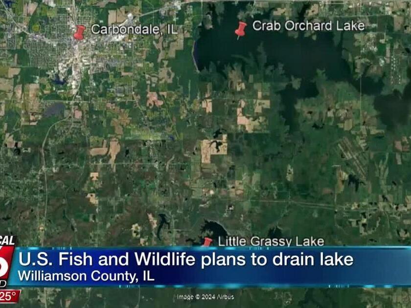 U.S. Fish and Wildlife to drain Little Grassy Lake