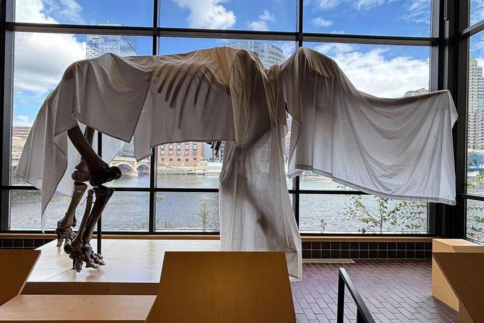 Grand Rapids Public Museum Unveiling Mastodon Discovery This Week ...