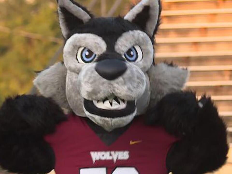 Dothan City Schools launches new Wolfpack branding