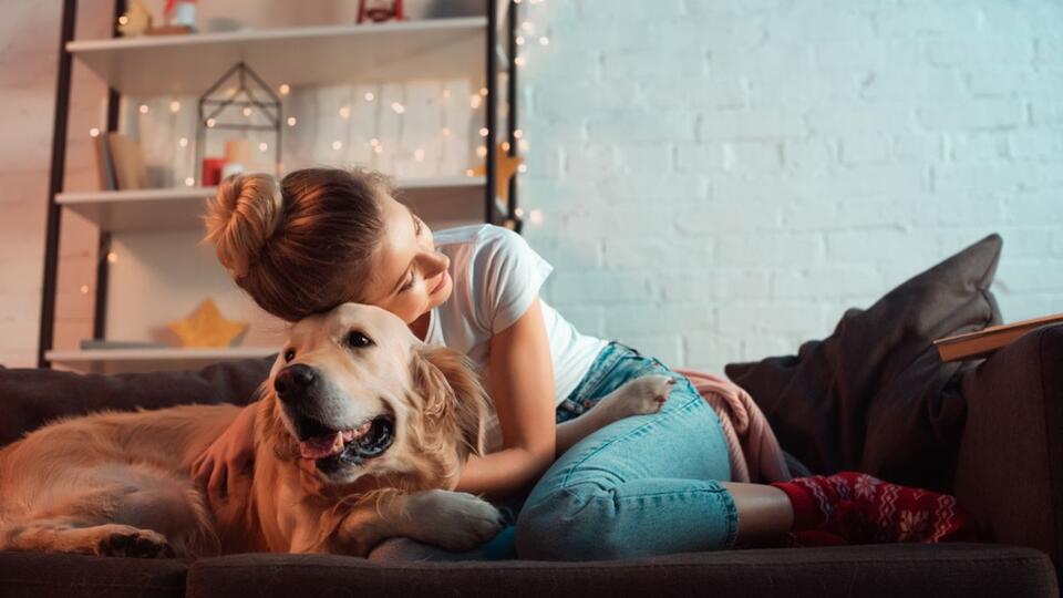 13 Reasons Why Dogs Are Man’s Best Friend - NewsBreak