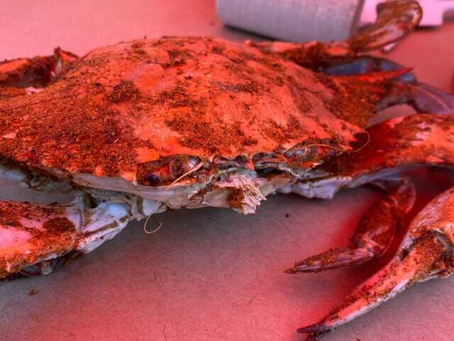Edgewater restaurant's abrupt closure reportedly leaves workers jobless ...