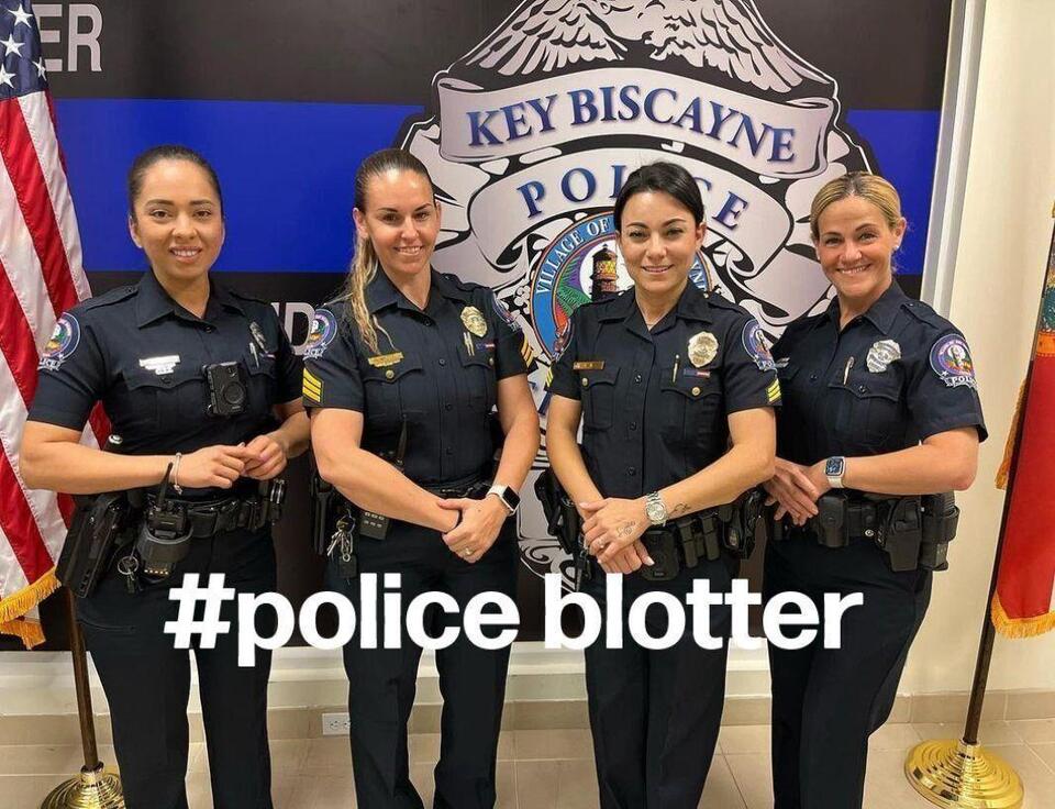 Child restraint violation, battery, and pride flag vandalism among ...