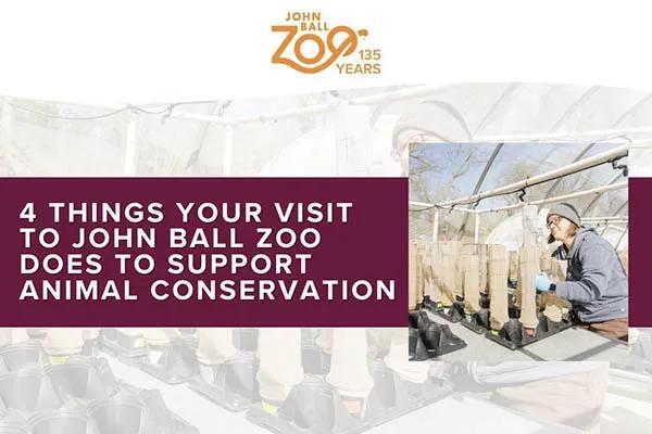 4 Things Your Visit to John Ball Zoo Does to Support Animal ...