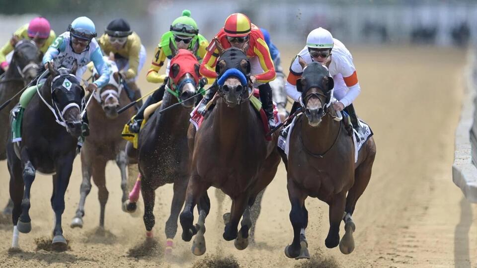 Black-Eyed Susan Stakes 2025 predictions, picks, odds: Best bets by ...
