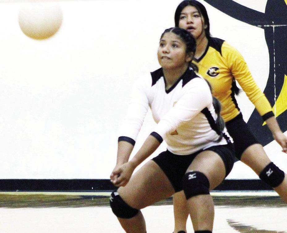 Lady Jackets save best for last, but fall to Abbott - NewsBreak