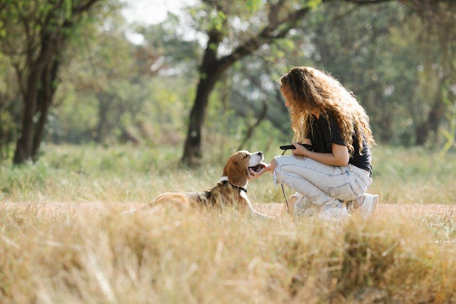 20 Dog Breeds That Form the Deepest Emotional Bonds with Their Owners ...