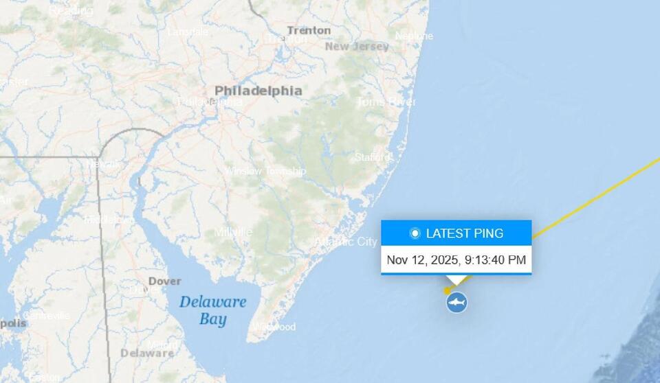Atlantic City and Cape May: Wave to Huge Great White Shark - NewsBreak