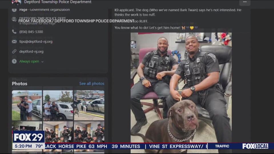 Deptford police officers go viral while reuniting missing dogs with ...