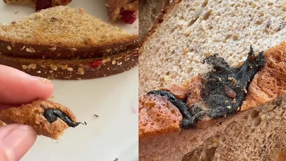 Shocked Ohio Woman Discovers Dead Rat Baked Into Her Aldi Bread After ...