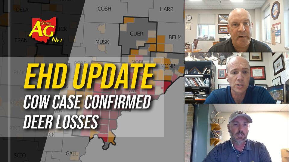 Ohio EHD Update: Cattle case in Meigs County | Deer herd losses - NewsBreak