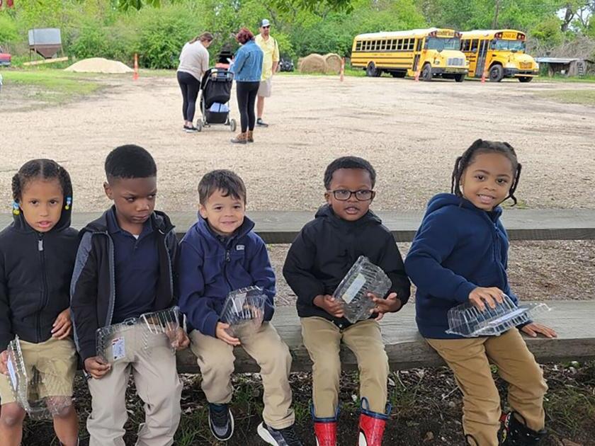Clinton Elementary School class learns about strawberries