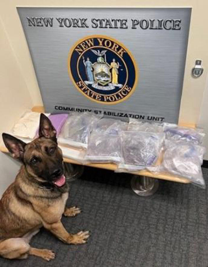 K-9 Leads to Drug Bust in Saratoga Springs - NewsBreak