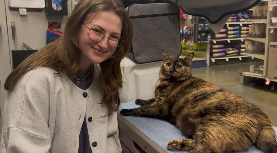 Rescue cat from Devore Shelter finds new home - NewsBreak