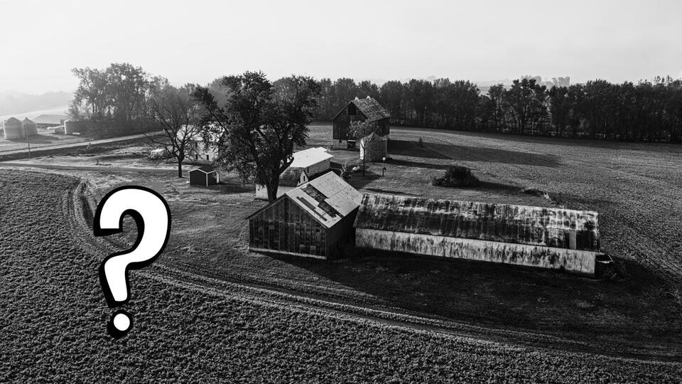 Central Illinois Guy Says He Saw Huge Jet Black Creature on Farm ...