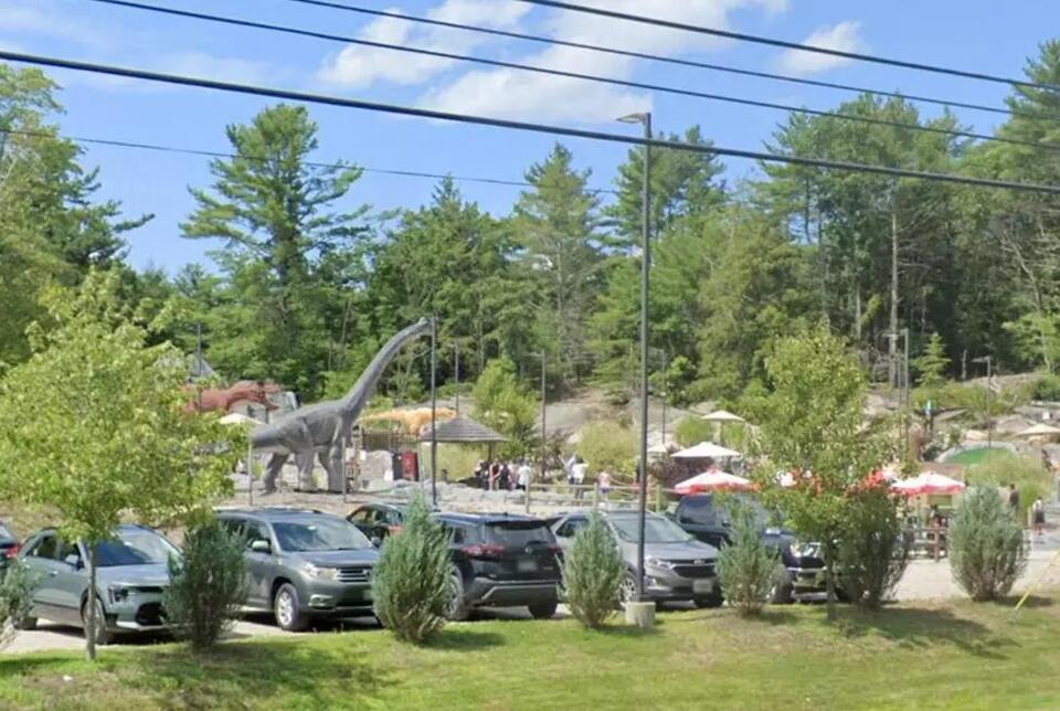 Raptor Falls in Arundel, Maine, Adds New Attraction - NewsBreak
