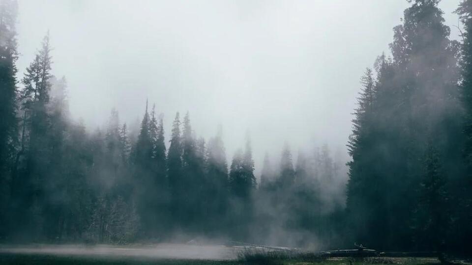 8 Extraordinary Natural Phenomena That Defy Simple Explanation - NewsBreak