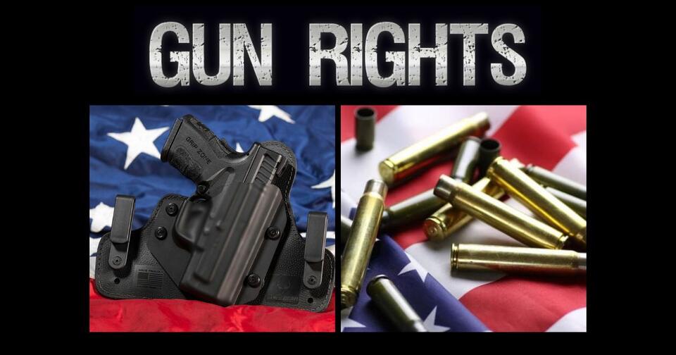 Florida 2nd Amendment Groups Want GOP Lawmakers to Make Guns A Top ...