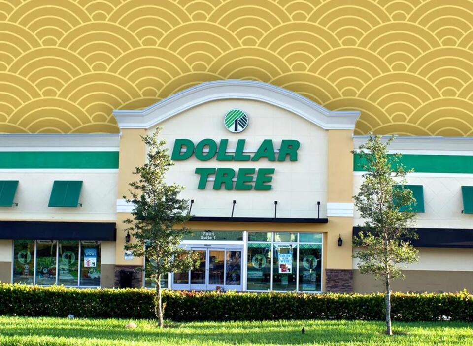 11 Best Dollar Tree New Arrivals Hitting Stores This Week - NewsBreak