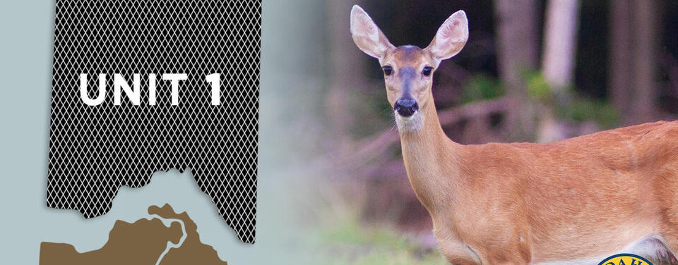 Important reminders about rules in the Unit 1 CWD management zone ...