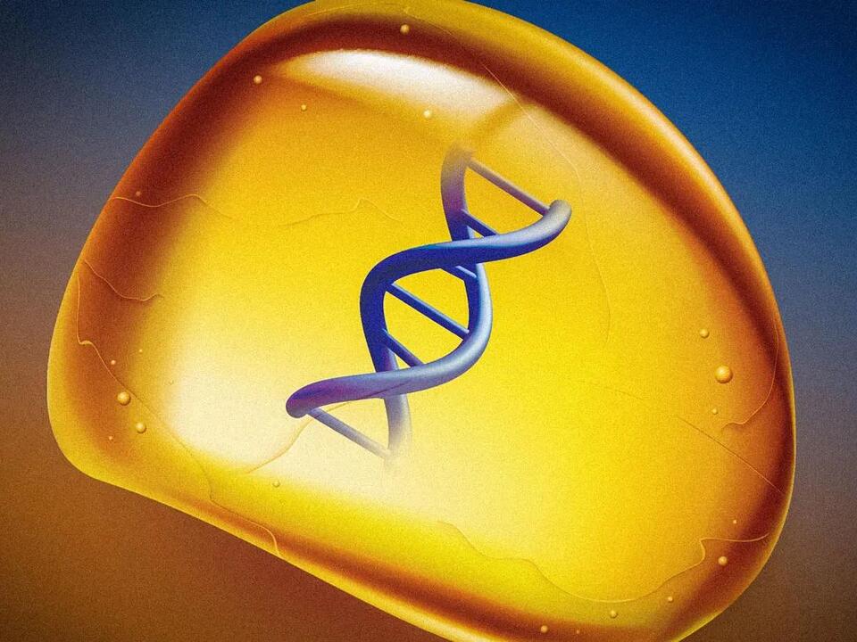 Jurassic Park’s amber-preserved dino DNA is now inspiring a way to ...