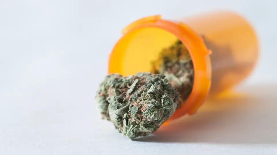 Illinois Approves Four New Medical Marijuana Conditions: Female ...