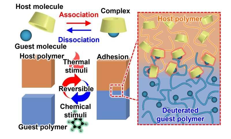 A 'stick-peel-reuse' adhesive based on lock-and-key chemistry - NewsBreak