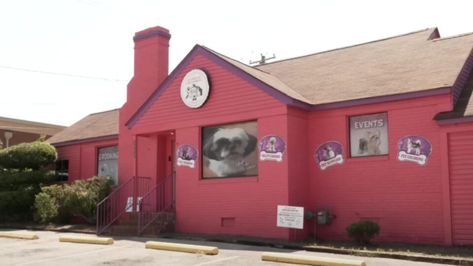 Woman recognizes her dog trembling at Whitehaven grooming business in ...