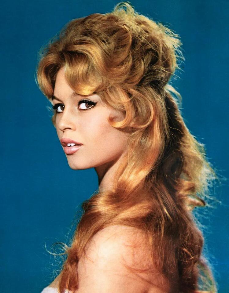 Brigitte Bardot, French Screen Legend And Style Icon, Dies At 91 ...