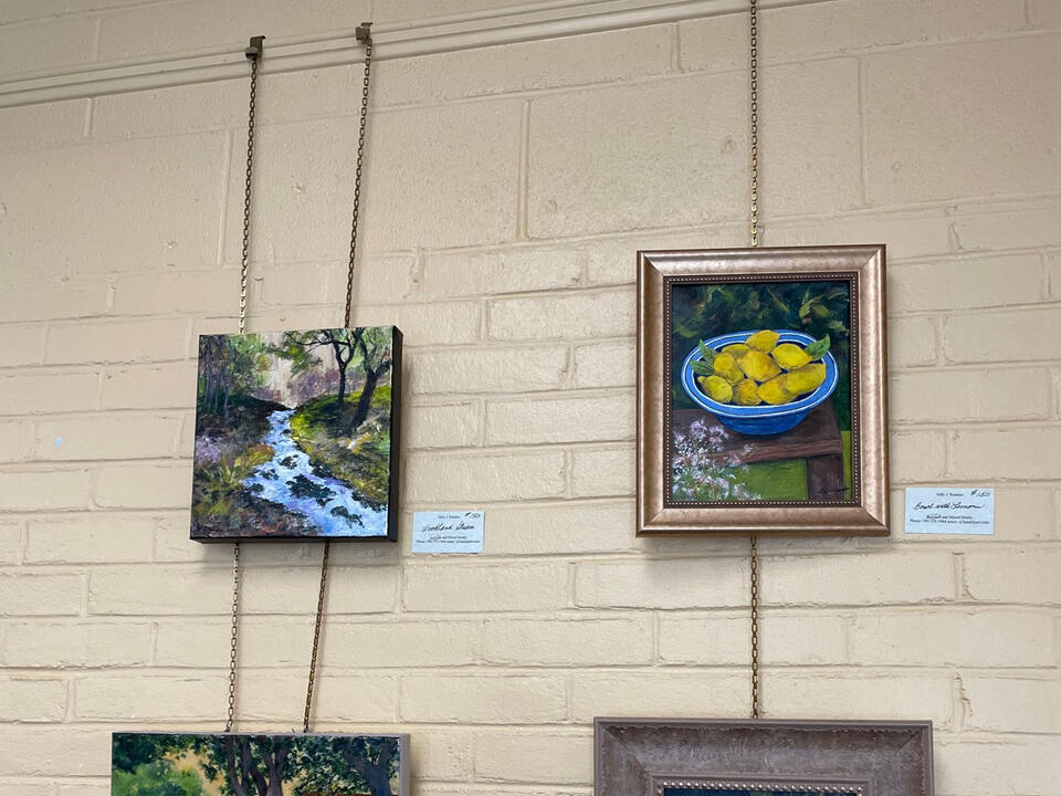 Sally Randles art work on display at the Alleghany Highlands Regional ...