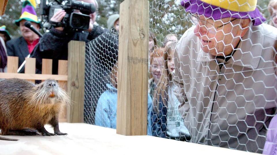 Groundhog Day but make it Cajun. Meet Louisiana's famous 'groundhog ...