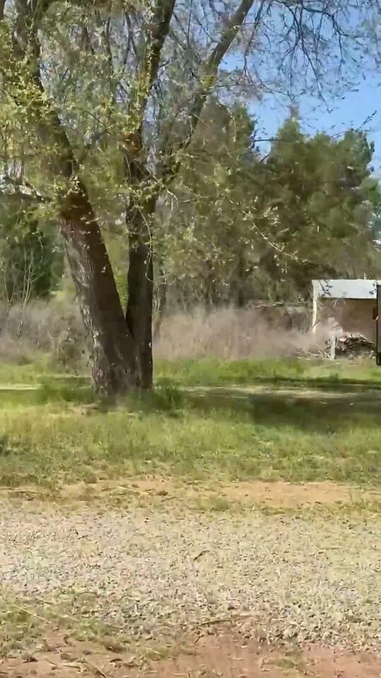 Dust Devil Forms in Family Homestead - NewsBreak