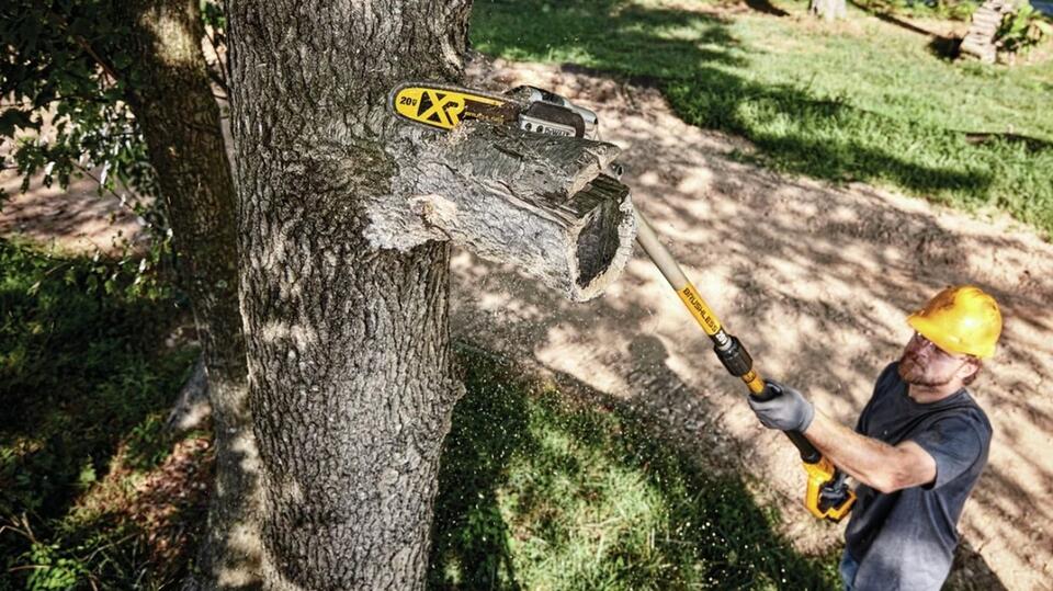 Is DeWalt's Pole Saw Tree Trimmer Worth Buying? Here's What Reviews Say ...