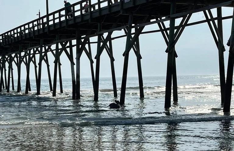 Mom and boyfriend charged at NC coast after girl dunked under surf at ...