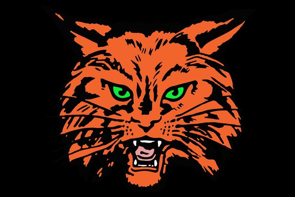 Lady Cats begin district play with win over Skidmore-Tynan - NewsBreak