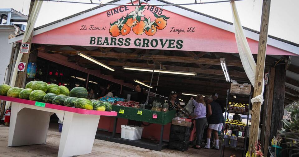 Bearss Groves reopens with new ownership, events - NewsBreak