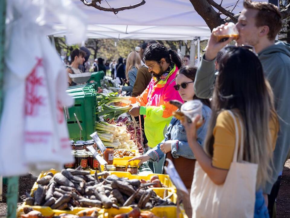 25 Years After Its Start in a Chicago Alley, Green City Market ...