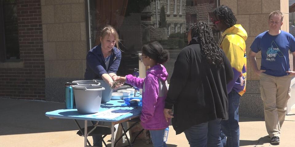 The Kansas Science Festival offers fun activities for all ages - NewsBreak
