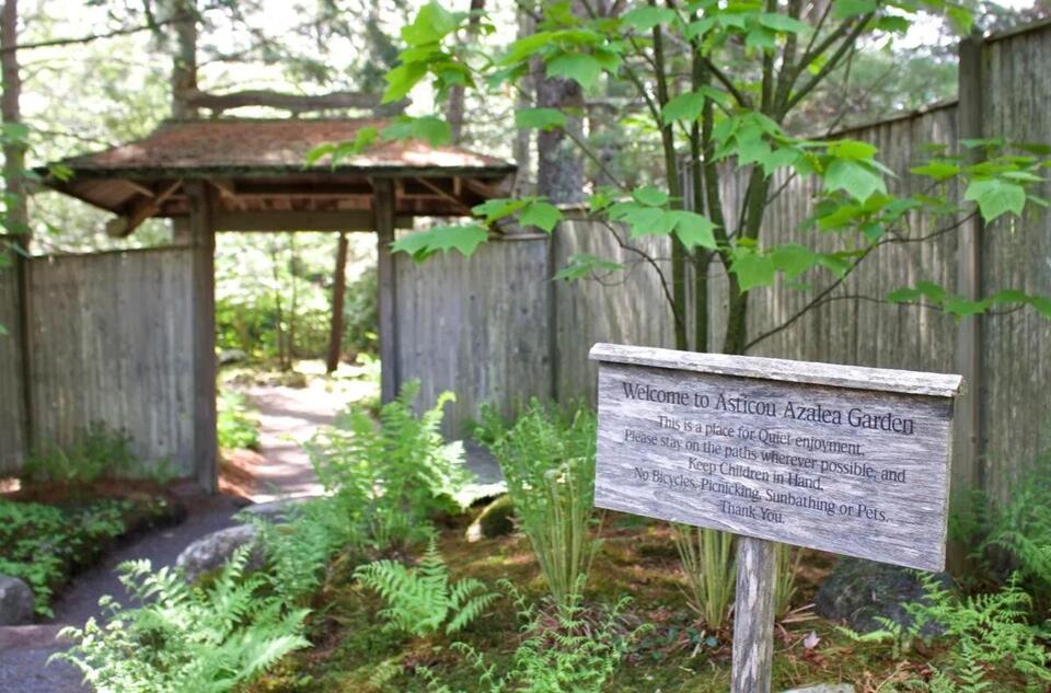 Former state senate candidate charged with alleged vandalism at MDI ...
