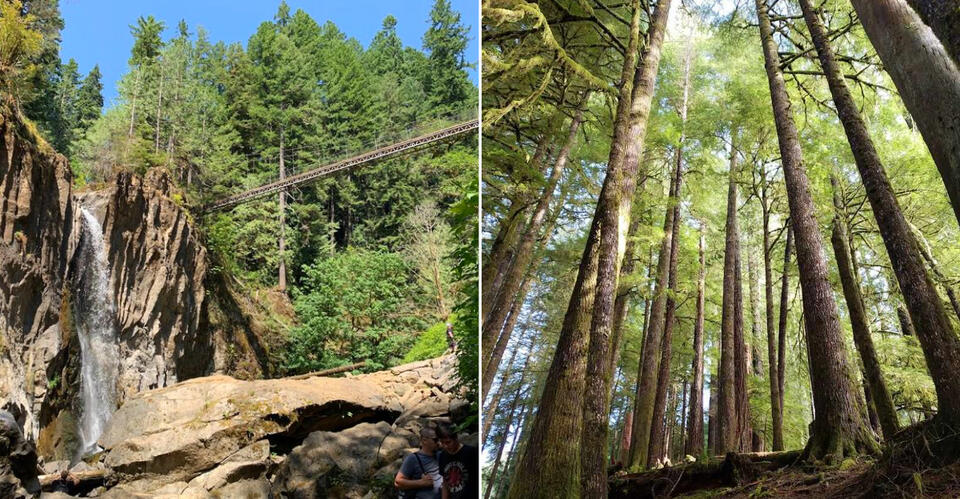 This 3.2-Mile Oregon Hike Ends At A 100 Foot Waterfall You Can Walk ...