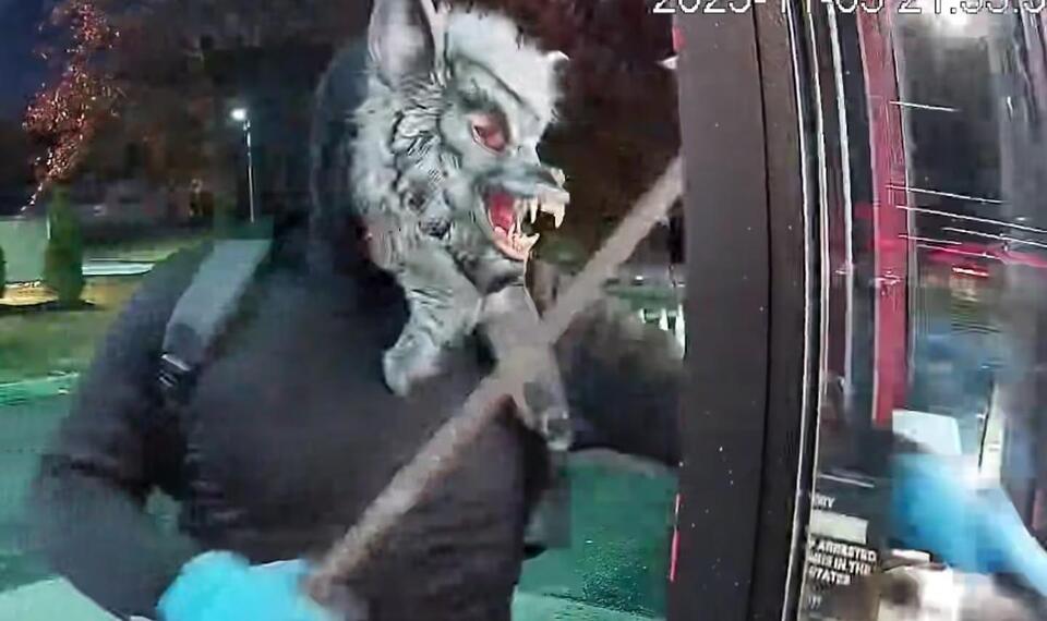 Mugshot Shows Werewolf-Masked Robber Who Climbed Through Woodbury Drive ...