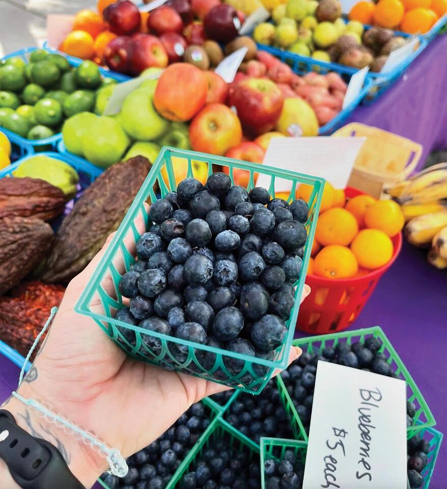 Guide to Enjoying Downtown Stuart - NewsBreak