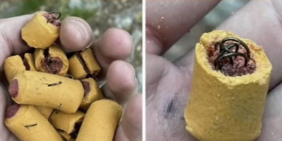 Joseph Janko-Hudson Is In Prison For Fish Hooks In Dog Food - NewsBreak