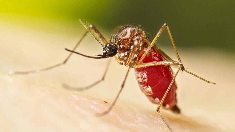 Alarming China Virus May Have Just Reached New York For The 1st T ...