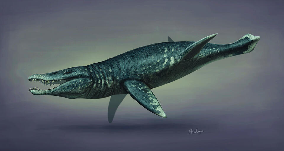 The Most Ferocious Sea Predator of the Jurassic Era - NewsBreak