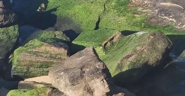 The Sydney Sphinx: Mystery behind astonishing face carved into a rock ...