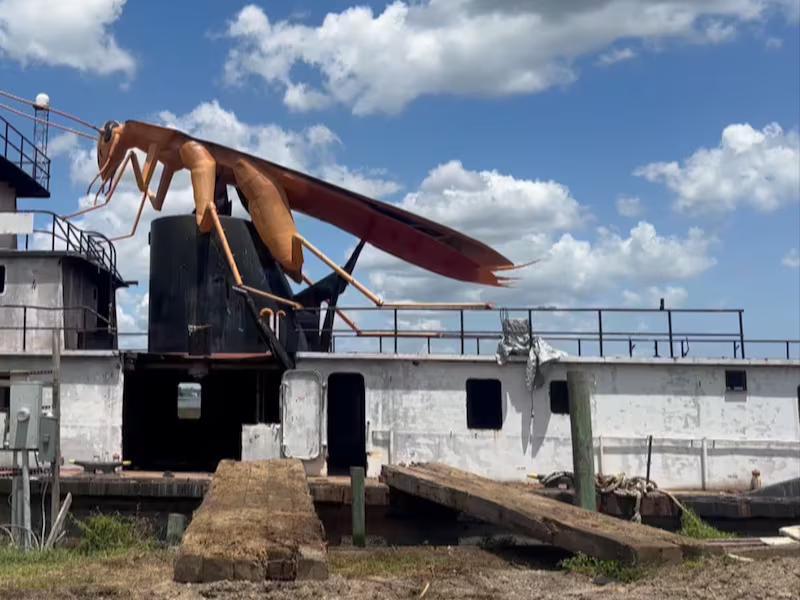 70-foot cockroach to be sunk into Gulf of Mexico to create reef
