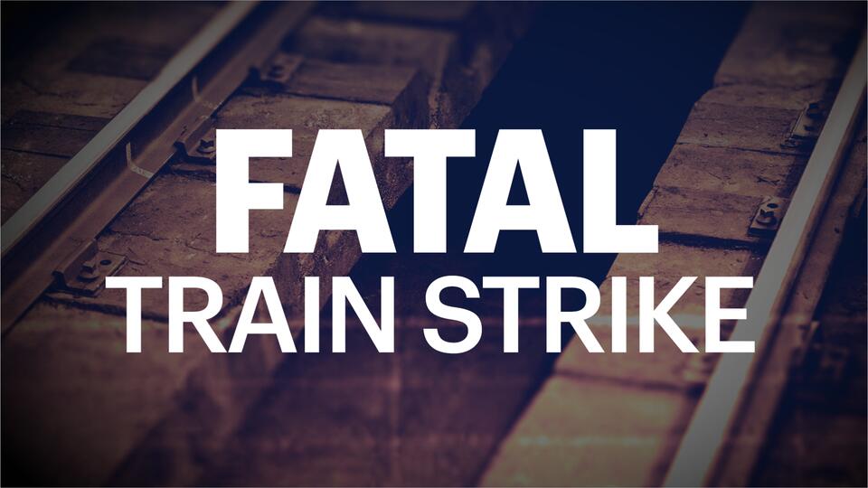 2 dogs fatally struck by freight train in Branchburg - NewsBreak